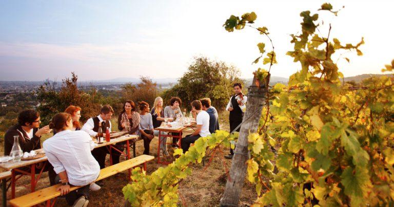 HAGENBRUNN HEURIGE AND VINEYARDS